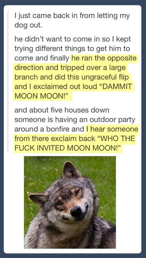 The Internets Most Asked Questions Funny Pictures Tumblr Funny