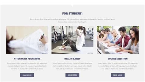 Скачать бесплатно готовый html шаблон сайта учебного заведения dream