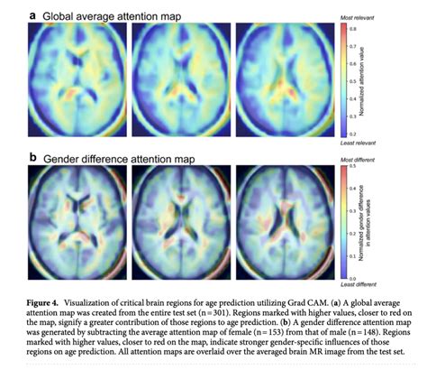 this ai research unveils a deep convolutional neural network cnn mlp