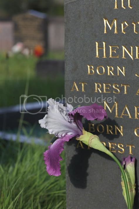 Alternative Gear And Lenses Photography Fm Forums