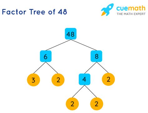 Factor Trees Gcse Maths Steps Examples And Worksheet Worksheets Library