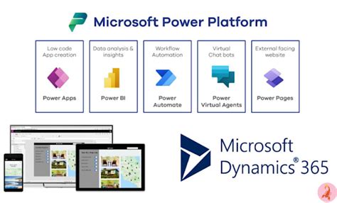 Do Expert Dynamics Crm Customizations Forms Workflows And