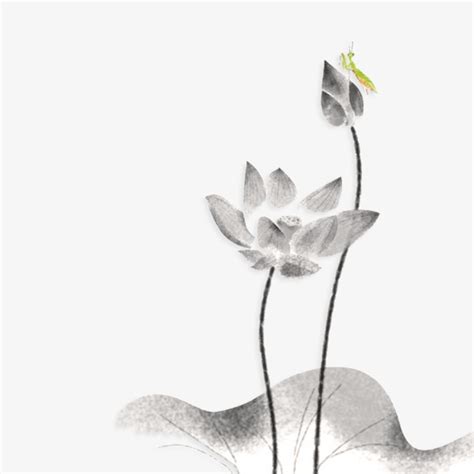 中国風水墨の蓮の花 ハスの花 墨画蓮の花 中国風 Pngとpsdファイルの無料ダウンロード