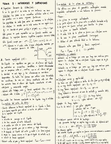 Resumen Tema Pdf