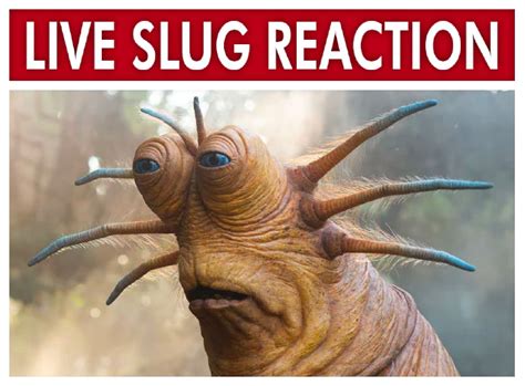 Did You Guys Know That They Made The Slug From Live Slug Reaction Gay