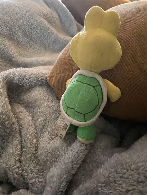 Rate My Joseph Koopa Troopa Plush R Supermariologan