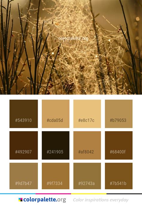 Photograph Grassland Grass Color Palette