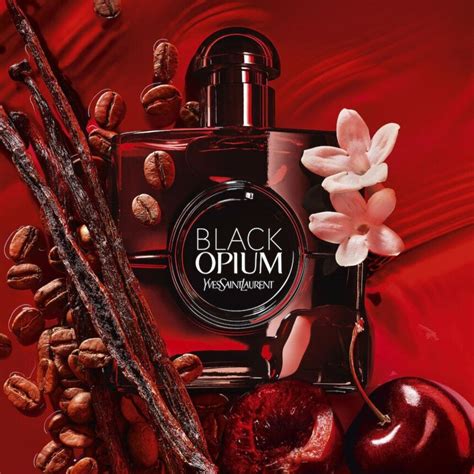 Beyoncé Cé Noir Eau De Parfum Available This Fall Where Can You Buy