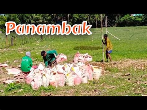 Panambak Sa Flooring Ng Bahay YouTube