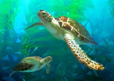 Sea Turtle Painting At PaintingValley Explore Collection Of Sea Turtle Painting