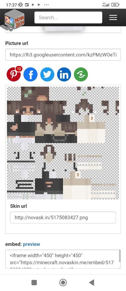Minecraft Girl Skins Template Aesthetic Official Site
