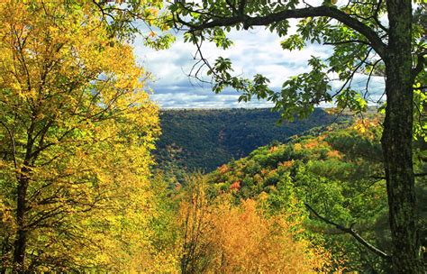 Free Images Landscape Tree Nature Wilderness Hiking Trail