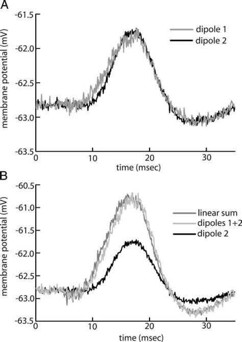 A Average Compound Excitatory Postsynaptic Potentials Epsps Elicited