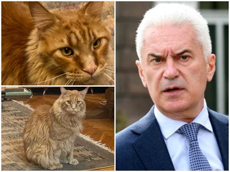 Котката на Волен живее по добре от български пенсионер Снимки Информационна агенция ПИК