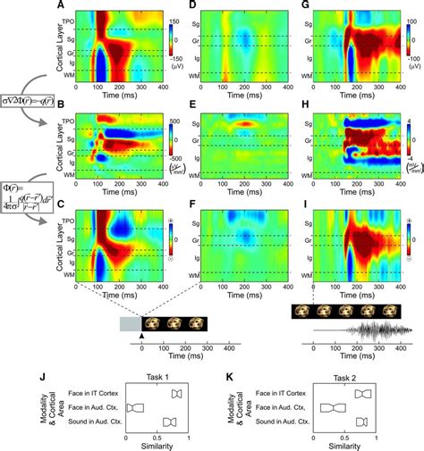 Primary Generators Of Visually Evoked Field Potentials Recorded In The