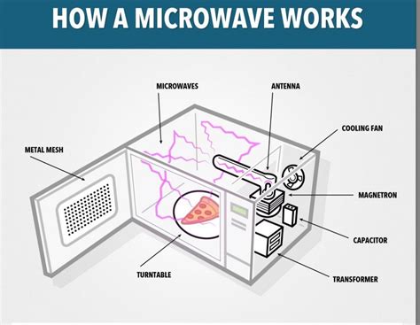 Why Microwaves Are Good At Angela Colter Blog