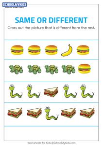 Identify The Different Objects Same And Different Worksheet For
