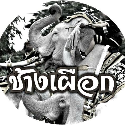 ช้างเผือก ในหลวง พระราชินี 💛💜🙏 จะเสด็จฯ หนองบัวลำภู วันพรุ่งนี้ ทรงเยี่ยมคนเจ็บ และพระราชทาน