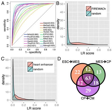 Stage Specific Transcription Factor TF Binding Probability LR Download Scientific Diagram