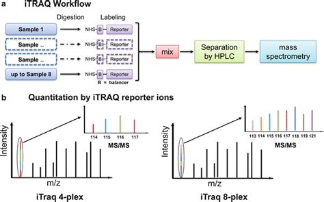 Dissecting The Itraq Data Analysis Springerlink