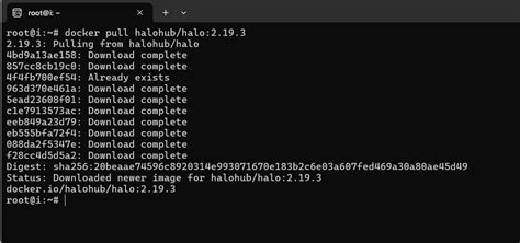 国内 Docker 全军覆没 Docker Pull Halohubhalo2193 第 3 页 开发调优 Linux Do
