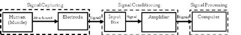 Emg Signal Extraction Process Download Scientific Diagram