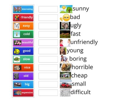 Headway Elem Unit 1 Adjectives Match Up