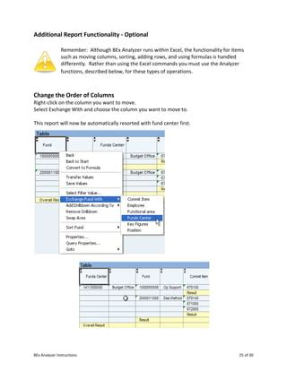 BEx Analyzer Work Instructions PDF