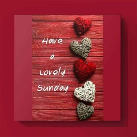 Pin By Khun Aey On HAPPY SUNDAY Good Morning Beautiful Good Morning Cards Good Morning