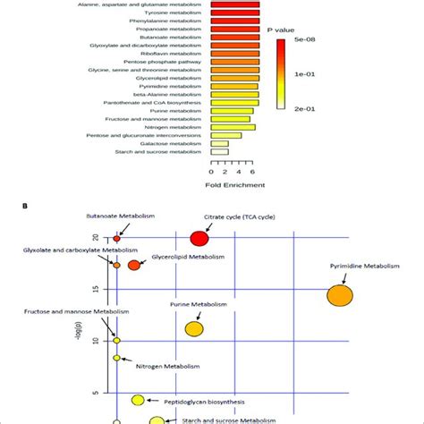 Variable Importance In Projection Vip Scores Indicating The Top Download Scientific Diagram