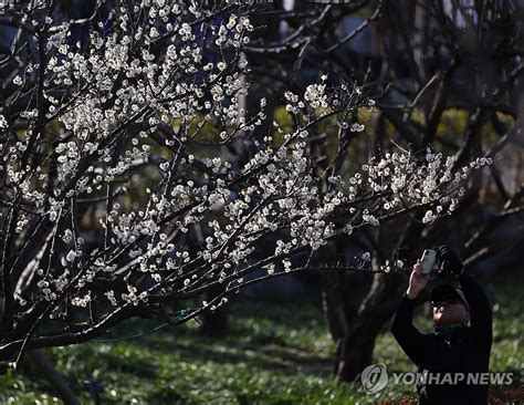 낮 기온 18도까지 올라간 부산 연합뉴스