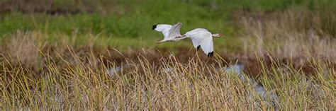 Meter Loop Specifications Wood County Electric Cooperative