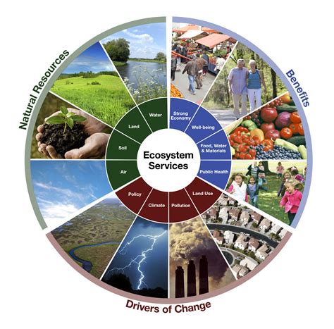 Ecosystem Services Why Should We Protect Them Mathematics For