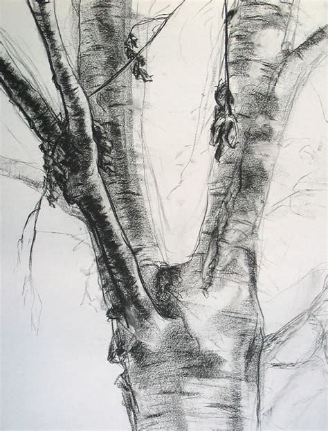 Trees Charcoal Landscape Drawing X Original