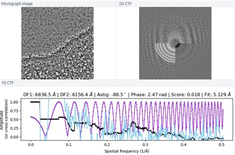 Phase Plate Data At Focus Ctf Estimation Cryosparc Discuss