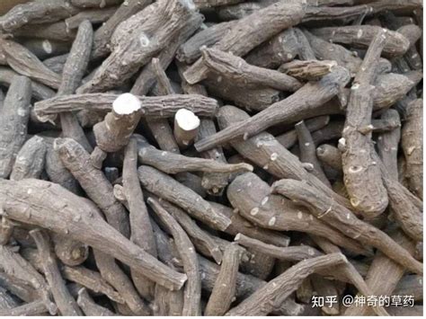 中药材：雪上一枝蒿 知乎