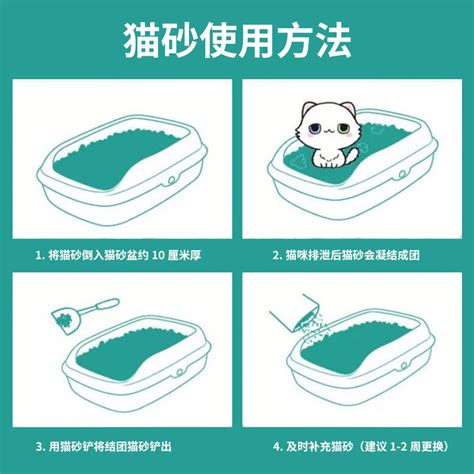 金多来豆腐猫砂真空水密桃绿茶味除臭无尘结团吸水不沾底可冲 L 虎窝淘