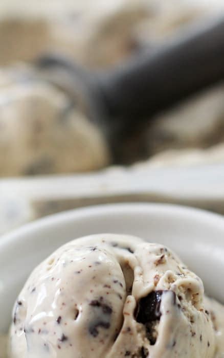 Homemade Java Chip Ice Cream Mother Would Know