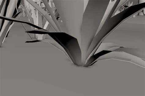 Pranta Kundu On Linkedin Forest Environment