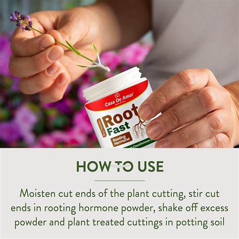 Casa De Amor Root Fast Rooting Hormone Promotes Rooting Grow New Pla