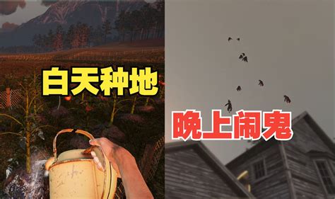 种地闹鬼有没有搞头？ 老王games 老王games 哔哩哔哩视频