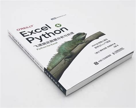 python 助力 excel：数据分析与处理效率飞跃 好书推荐 冷月清谈