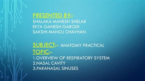 Anatomy Practical Pdf