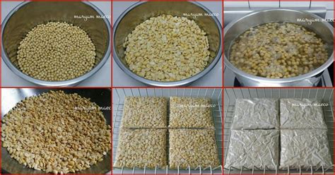 Resep Mudah Membuat Tempe Sendiri Di Rumah Lebih Sehat Artofit