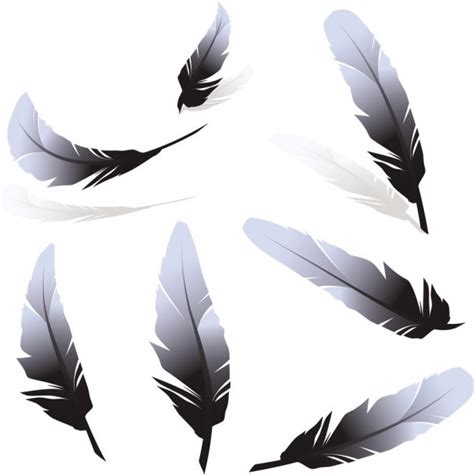 Feather Curved Vectors Free Download Graphic Art Designs Sort By