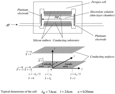 Schematic Representation Of The Thin Flat Layer Cell Notations