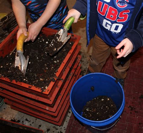 How To Succeed At Worm Composting In Easy Steps
