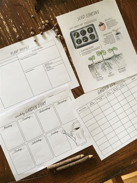 The GARDEN Notebook Homebabe Printable Nature Study Charlotte Mason Etsy