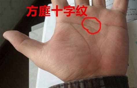三线合一手相怎么看手相手相大山谷图库