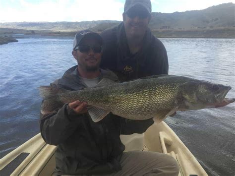 Saguaro Lake Fishing Charters And Guides Fishanywhere